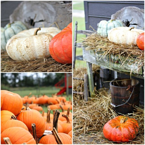 Easy Halloween Hayride Party Ideas Part I - Sarah Sofia Productions