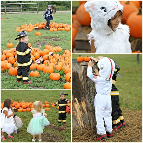 Easy Halloween Hayride Party Ideas Part I - Sarah Sofia Productions
