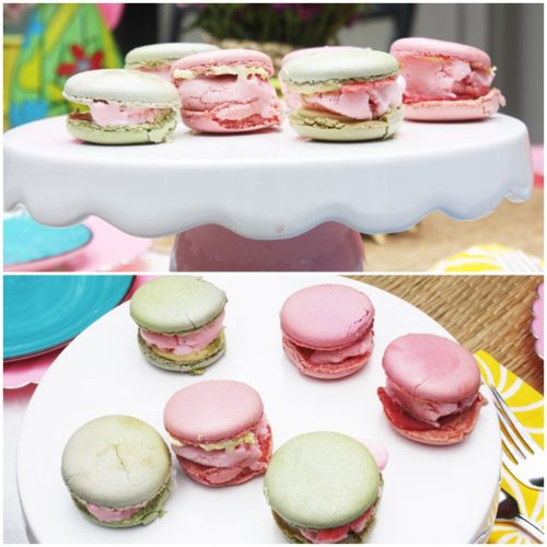 Summer Seasonal Scape - Sarah Sofia Productions